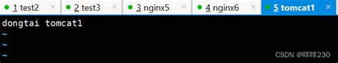 lvs dr模式 keepalived nginx tomcat实现动静分离、负载均衡、高可用实验 lvs dr nginx动静分离综合实验
