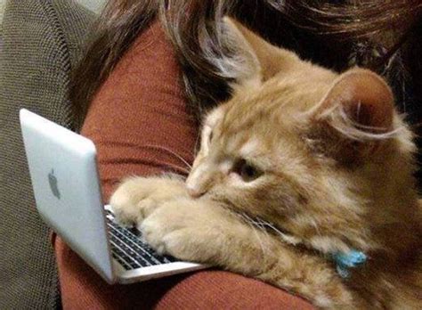 Закрити ФОП за секунду у Дії анонсували довгоочікувану послугу Читайте на Ukr Net