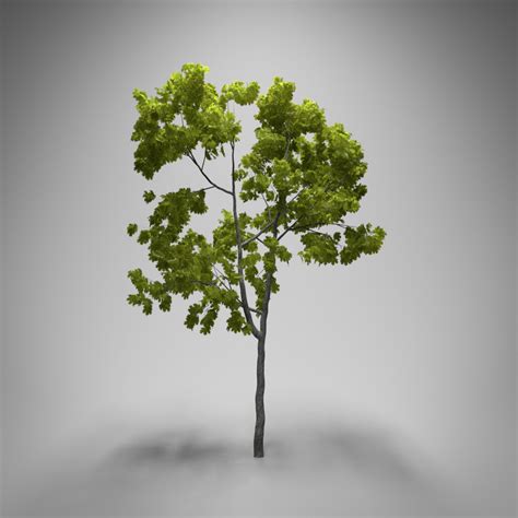 how to create a realistic tree part 3 tutorials tips and tricks blender artists community