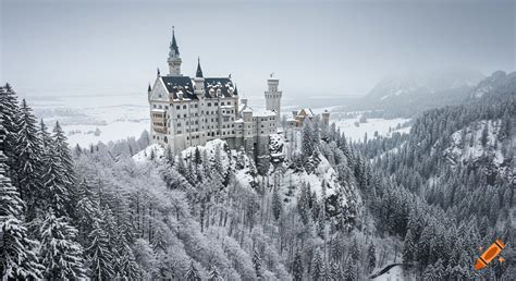 Neuschwanstein Castle On A Snow Covered Mountain Surrounded By Pine