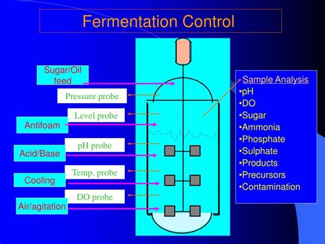 Ppt Chapter 4 Fermentation Monitoring Powerpoint Presentation Free