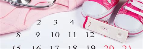 The Presumed Date Of Delivery Announced By Doctors