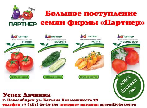 Фирм томата