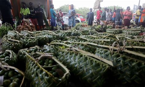 Opinion How The Small Pacific Island Nation Of Vanuatu Drastically Cut