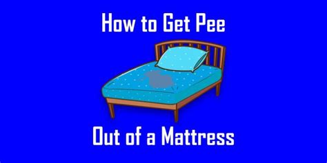 How To Get Pee Out Of A Mattress Easy Steps Guide