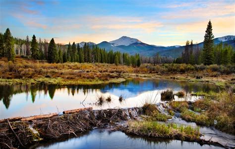 Arapaho National Forest Peak Perfection In Arapaho National Forest