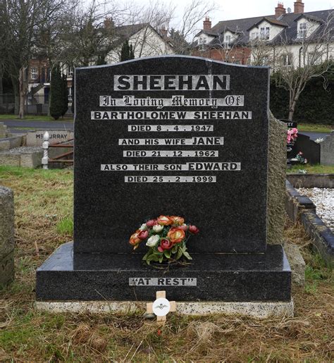 Bartholomew Sheehan Edward Sheehan A Military Photo And Video Website