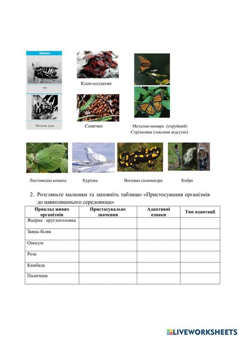 Практична робота Визначення ознак адаптивності різних організмів до середовища існування