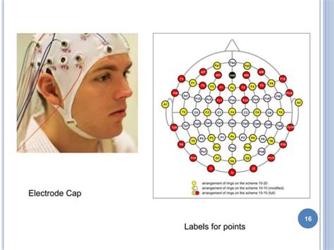 EMOTION BASED COMPUTING PPTX Brain And Nervous System Disorders Diseases And Conditions
