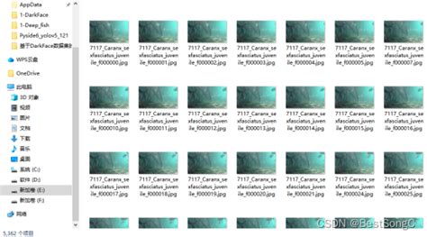 基于深度学习的高精度深海鱼检测识别系统（pytorchpyside6yolov5模型）基于深度学习的海洋鱼类识别 Csdn博客