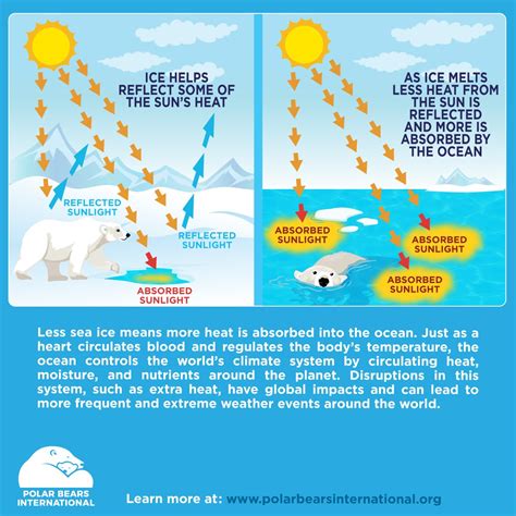 Quick Bite Melting Ice Albedo Feedback Mosaic