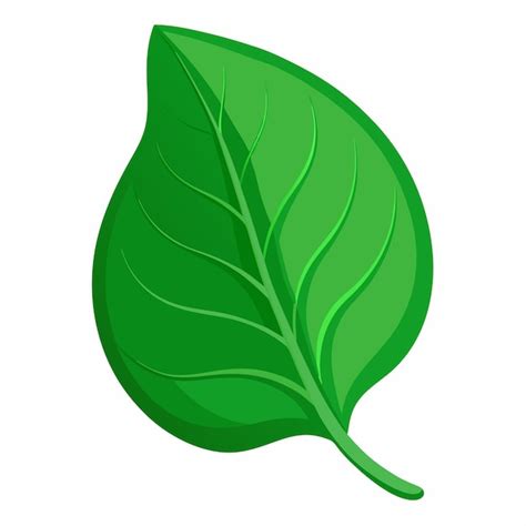 Single Green Betel Leaf Vector Design Elegant Simplicity Premium Ai