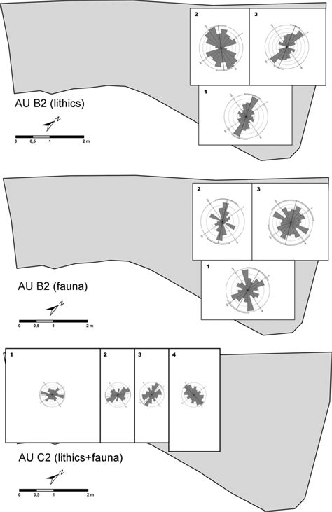 Schematic Representation Of The Spatial Subdivision Of Aus B2 And C2 Download Scientific