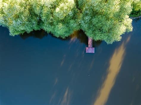 Page 22 Tree Under View Images Free Download On Freepik