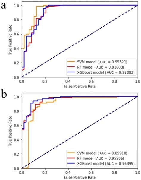 Construction Of A Multimodal Machine Learning Model For Papillary