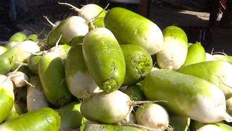 平桥区萝卜大丰收，乡村振兴有奔头湾村发展产业