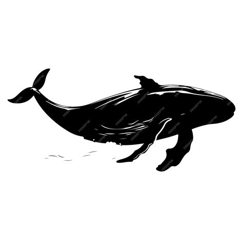 Premium Vector Collection Of Isolated Whale Silhouettes Graphic Resources