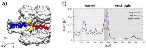 Atomistic Simulations A Snapshot Of The System Arginine Tail Is In
