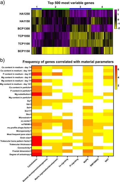 Cap Ceramics Induce Distinct Gene Expression Profiles In Mg63 Cells And