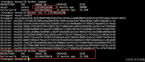 第二章 Docker的常用命令
