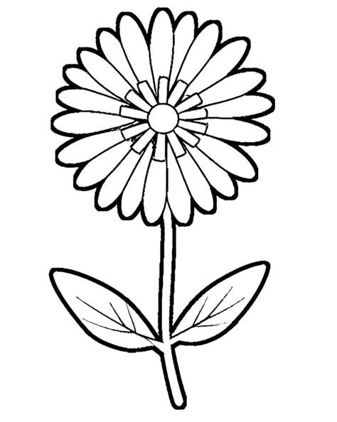 Bojanke Cvijeće Coloringlib