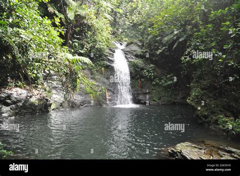 Water Fall In The Cockscomb Basin Wildlife Sanctuary In Belize Stock