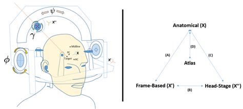 Coordinate Systems For Navigating Stereotactic Space How Not To Get