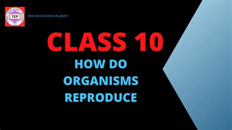 How Do Organisms Reproduce Class MCQs Online Test