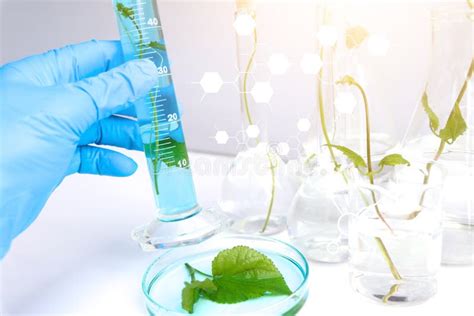 Lab Experiments Biology At Clifford Zak Blog