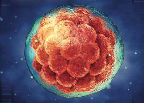 Sexually Dimorphic Estrogen Sensing In Skeletal Stem Cells Controls Skeletal Regeneration