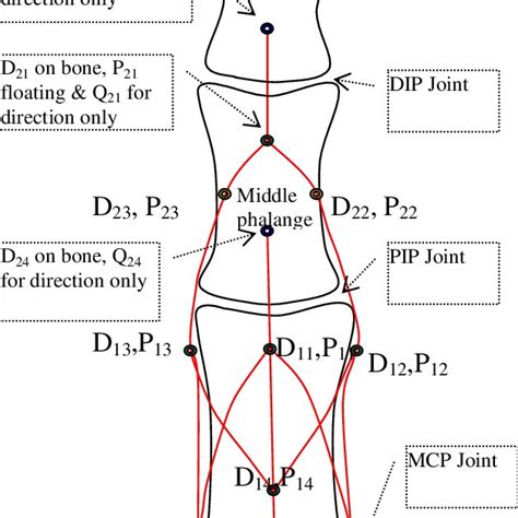 An Example Of Tendon Driven Mechanism Above And Equivalent System Download Scientific Diagram