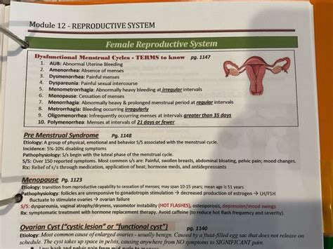 Module Key Medical Terminology And Definitions Flashcards Quizlet