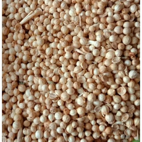 Jual Biji Ketumbar Ketumbar Bulat 100gram Shopee Indonesia