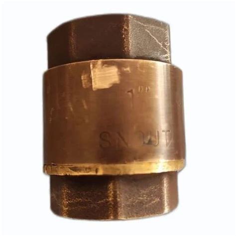 Brass Check Valve Valve Size 125 Mm At ₹ 444piece In Mumbai Id