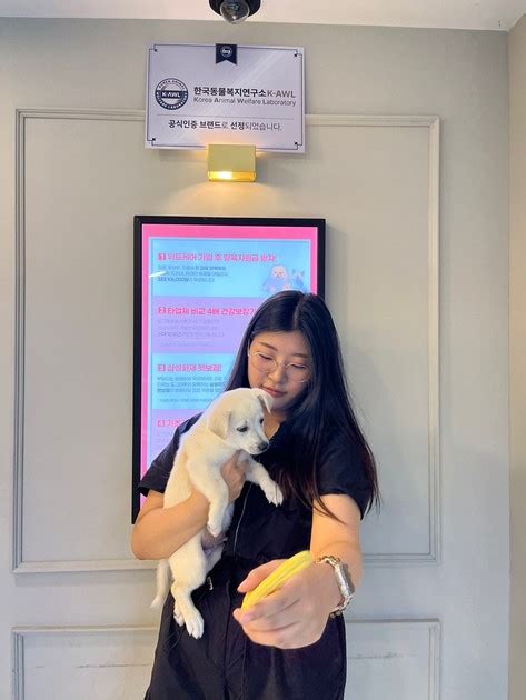 믹스견 뚜비 소형강아지종류 브숏 말티슈 푸들성격 꼬똥드툴레아분양 브리더분양 작은강아지 털없는강아지 회색푸들 타이니푸들 키우기쉬운강아지 믹스견종류 풍산개분양 잭러셀테리어분양