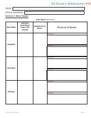 BIO201 Week3 SkeletalSystem LabReport Pdf BIO 201 Lab 3 Skeletal System NAME GROUP MEMBERS