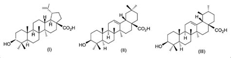 Triterpene Structures Of The Triterpene Acids I Betulinic 3