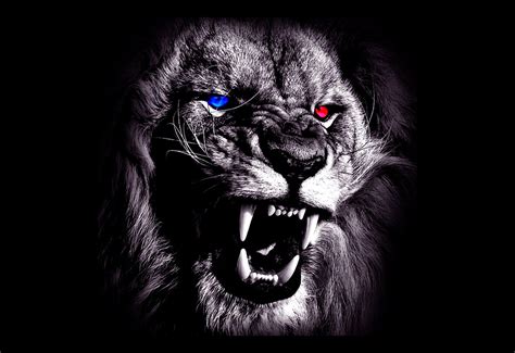 Close Up Of A Lions Face With Blue And Red Lights
