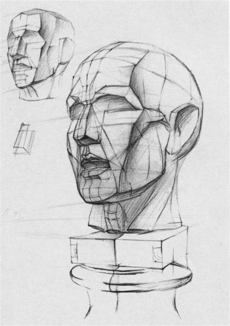 Рисунок головы человека | Анатомическое искусство, Рисунок, Рисовать