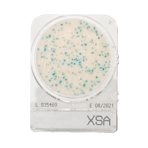 Staphylococcus Aureus Meghatározásához Compact Dry X Sa Mikrobiológiai Gyorsteszt