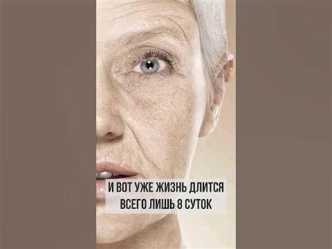 От рождения до старости за 8 ДНЕЙ - YouTube