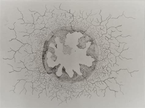 Dendritic Structure 1 David Krut Projects