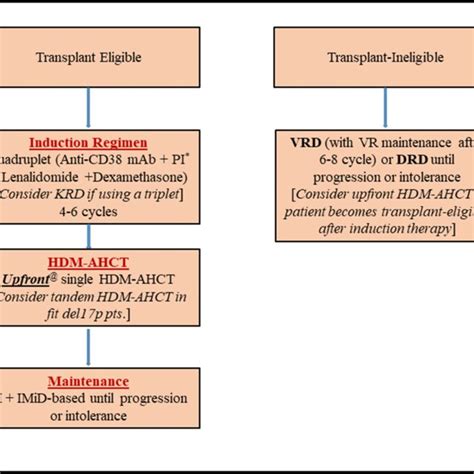 Suggested Algorithm For Approaching Newly Diagnosed High Risk Multiple