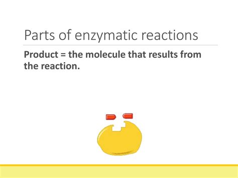 Enzymes Ppt Download