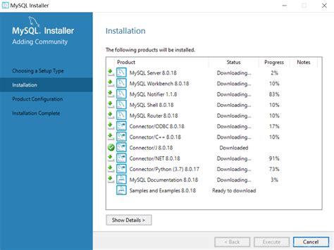 mysql系列（一）：超详细、非常适合入门的mysql安装、环境配置教程 mysql安装时choosing a setup type没有de
