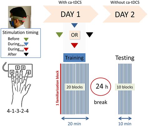 A Learning Curves Of The Finger Sequence Tapping Task The Number