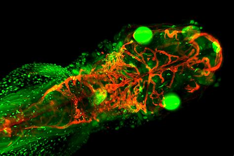 Spatial Imaging Spatial Imaging