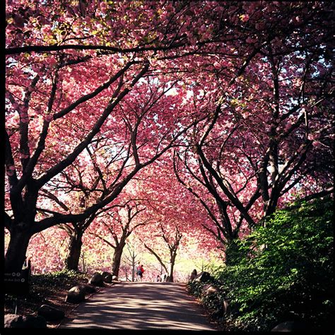 Most Interesting Flickr