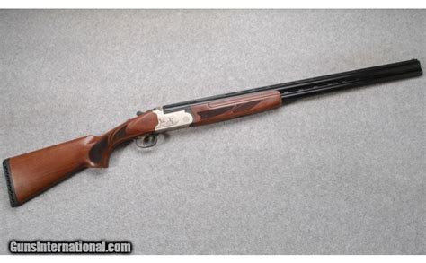 Legacy ~ Pointer ~ 12 Ga