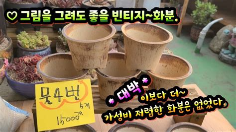 국내산수제화분 퀄리티~짱♥ 화분에 그림 그릴때는 아크릴물감으로 사용해보세요옥상다육 우암도예협찬박병일 Youtube